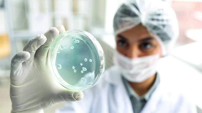 Dia do Biólogo - Semanário ZN